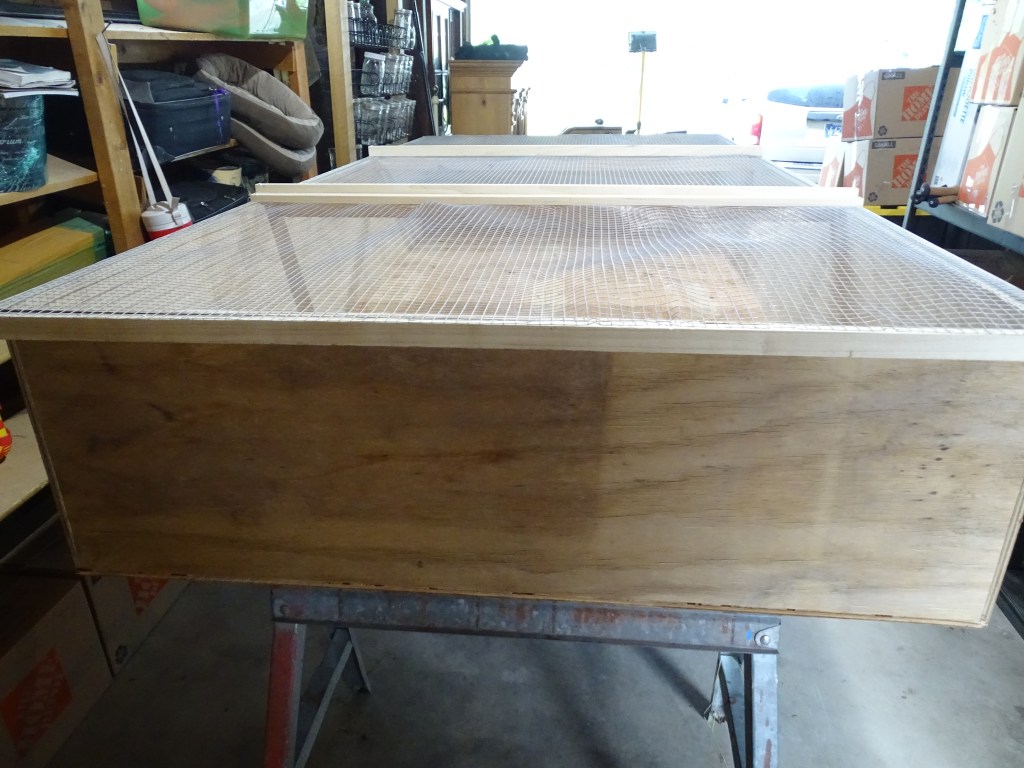 Welcome our Quail! – Nancy Tanner